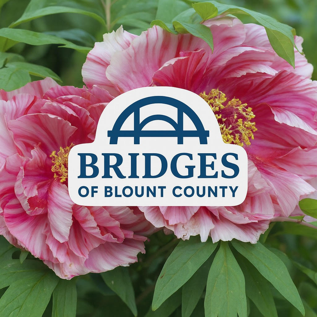 Home - Bridges of Blount County
